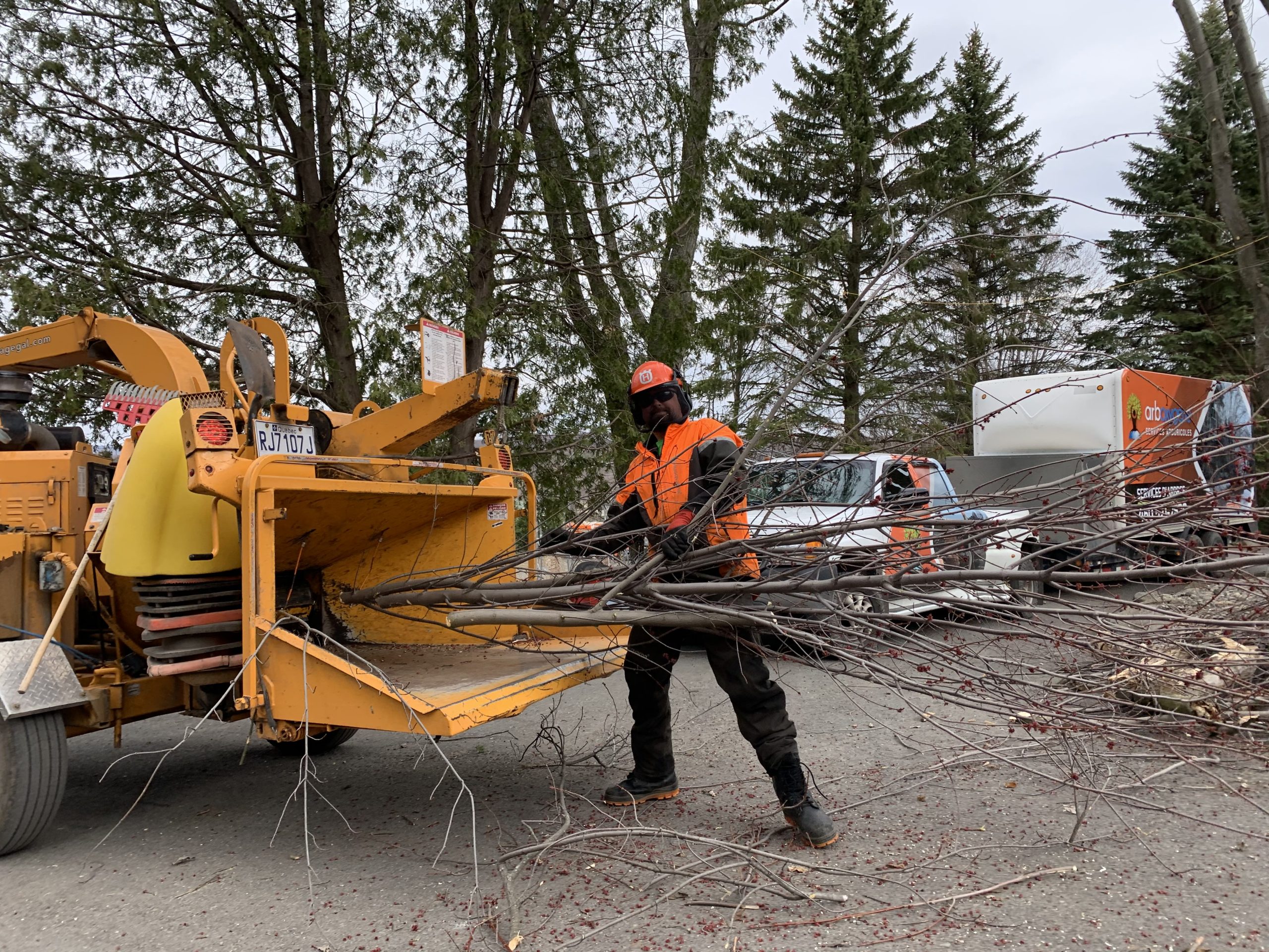 Arboxygene - Tree service, trimming and pruning | Chipping of branches